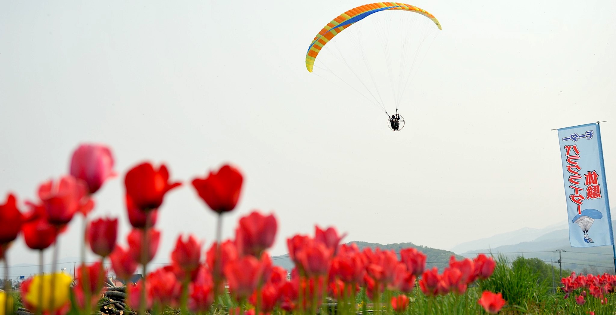 Soar High In Furano Skies Furano Style